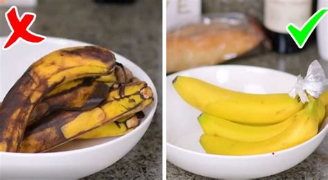 Astuces Utiles Pour Nous Aider Conserver Les Aliments Frais Le Plus
