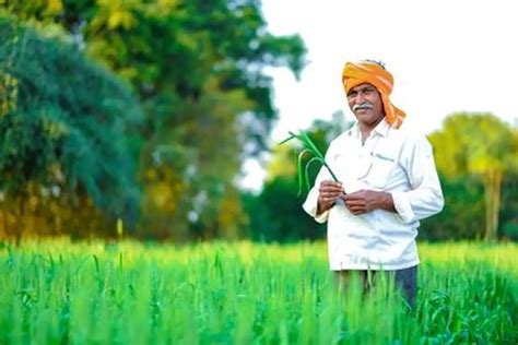 Pm Kisan Samman Nidhi Yojana Check Required Documents To Apply For