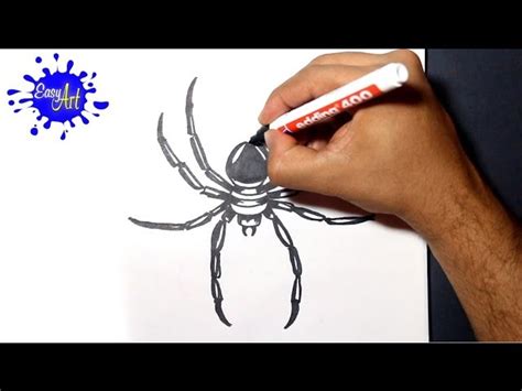 How To Draw Spider Como Dibujar Una Ara A Drawing