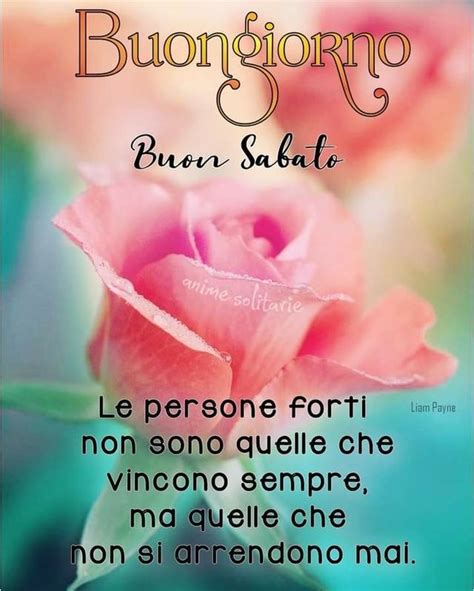 A Pink Rose With The Words Buon Sabate Written In Spanish On It