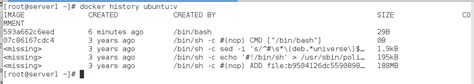 docker镜像的分层结构介绍以及镜像的创建（docker commit与dockerfile） docker history镜像分层结构 csdn博客