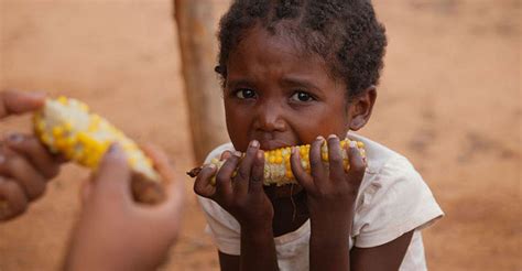 Fome Cresce No Mundo E Atinge Da Popula O Global