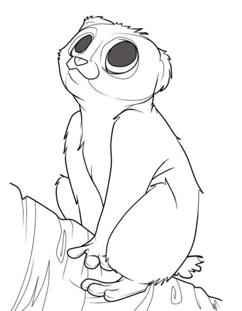 Slow Loris Coloring Page