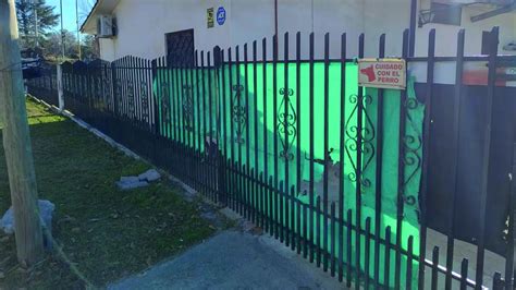 Cosquín entró a robar a una casa y fue atacado por dos perros pitbull