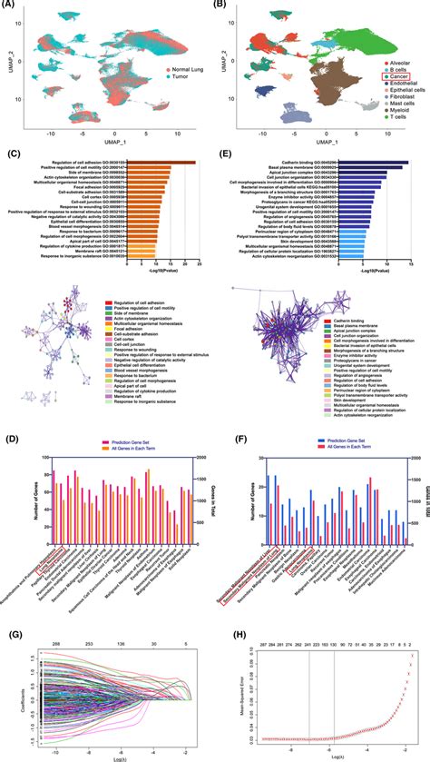 Singlecell Transcriptomic Atlas Of 29 Samples From Normal Lung Early