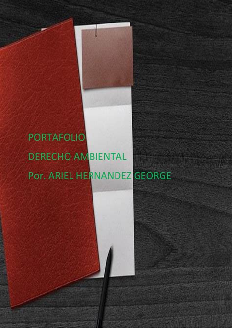 Programacion Analitica Der Ambiental Convertido By Ariel Flipsnack