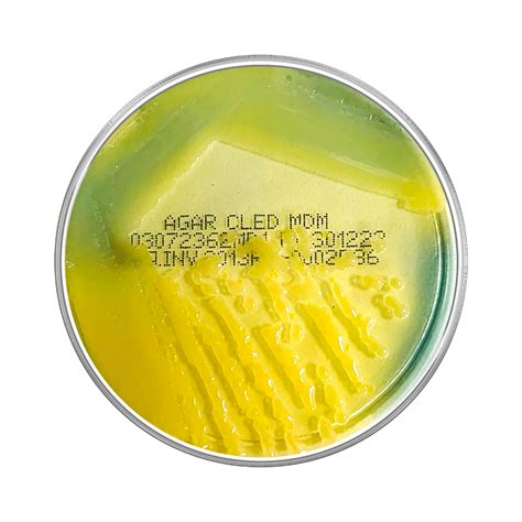 AGAR CLED MDM CAJA 90MM X 15MM MDM Científica