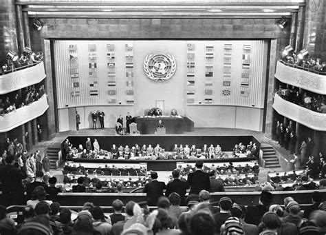 Diritti Umani A Anni Dalla Dichiarazione Citt Nuova Citt Nuova