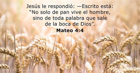Mateo Vers Culo De La Biblia Dailyverses Net