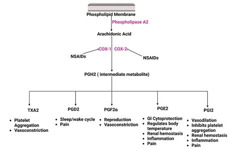 Effects Of Non Steroidal Anti Inflammatory Drugs Nsaids And