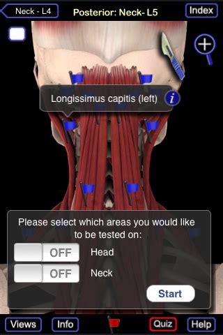 Neck Muscle Diagram Front Jeff Searle Muscles Of The Head And Neck