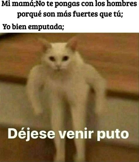 Pin De Selene Ruiz De V En Memes Memes Parejas Memes Memes Divertidos