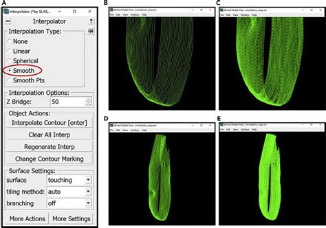 smooth interpolation a the location of the smooth interpolation download scientific