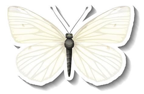 Imágenes de Mariposa Blanca Descarga gratuita en Freepik