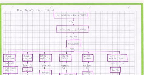 Aula De Lengua Y Literatura Mapas Conceptuales Sobre Las Funciones