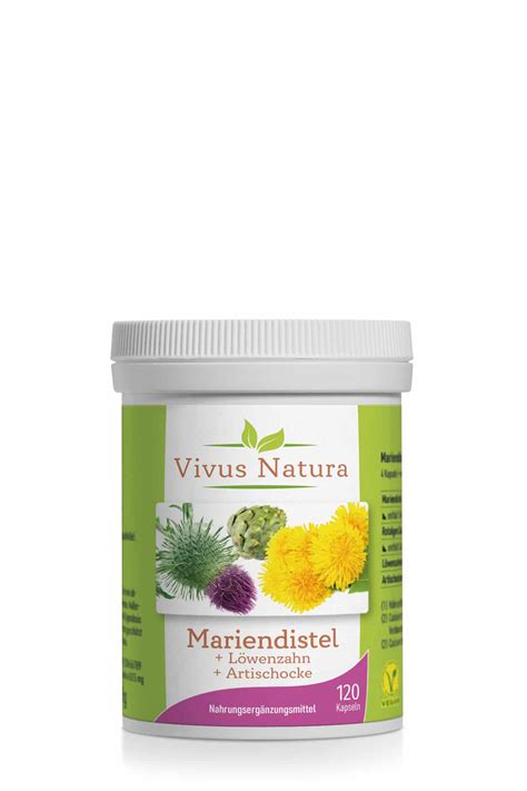 Mariendistel Löwenzahn Artischocke Vivus Natura