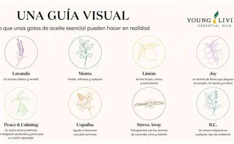 Precauciones y efectos secundarios de los aceites esenciales Guía completa