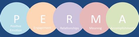 Seligman S Theory