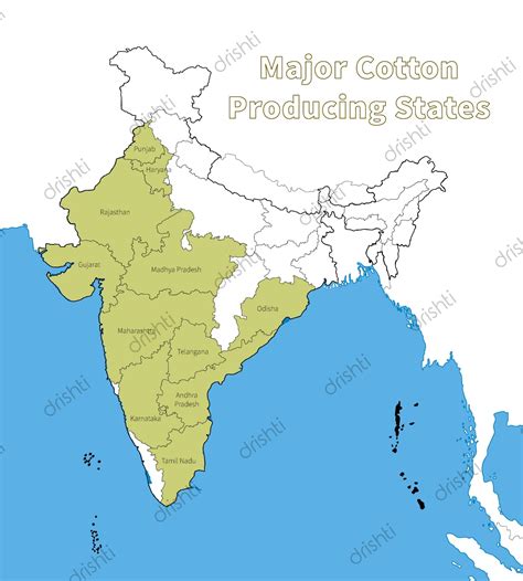 Cropping Patterns And Major Crops Of India Part Two