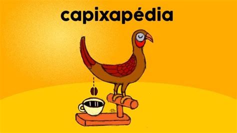 Café do Jacu a história da bebida feita a partir das fezes de ave no