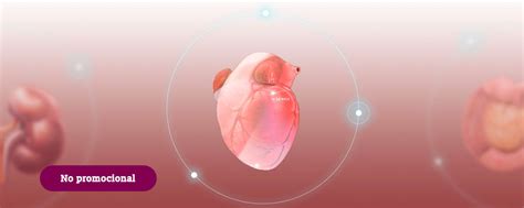Insuficiencia Cardiaca Consenso De Expertos AZone Profesionales