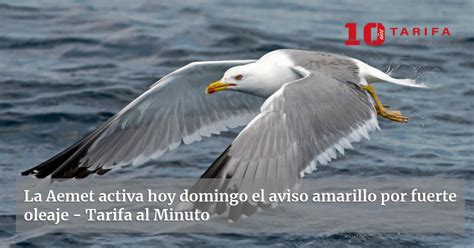 La Aemet Activa Hoy Domingo El Aviso Amarillo Por Fuerte Oleaje