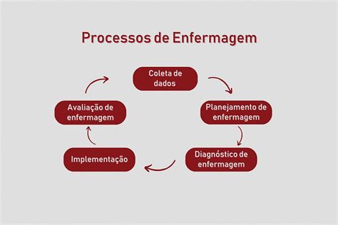 Fases Do Processo De Enfermagem Librain