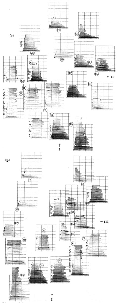 Figure 3 From Multidimensional Perceptual Scaling Of Musical Timbres