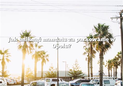 Jak uniknąć mandatu za parkowanie w Opolu Parking pl