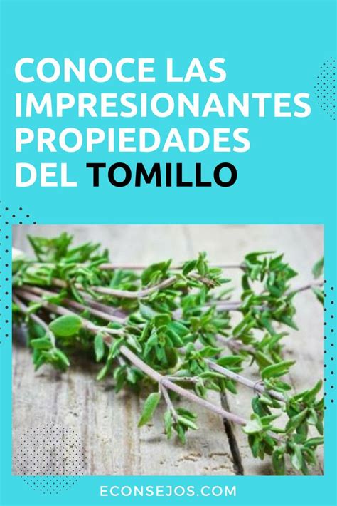 14 Beneficios del tomillo y cómo aprovechar sus propiedades medicinales