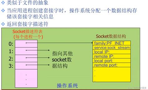 socket编程 应用编程接口（api） 套接字（及其函数介绍） socket api csdn博客