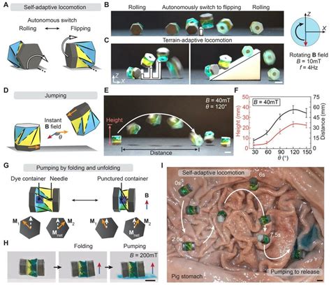 self adaptive on ground locomotion and controlled delivery of liquid download scientific