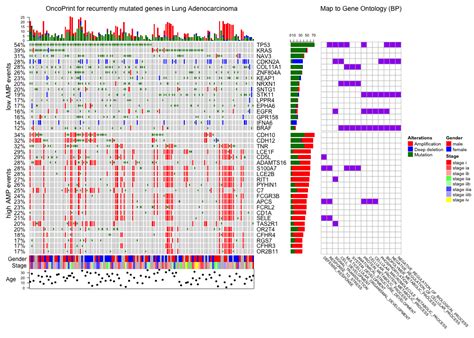 Github Jokergoocomplexheatmap Make Complex Heatmaps