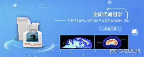 时空分辨药物代谢组学中枢神经系统新药研发的可视化利器 知乎