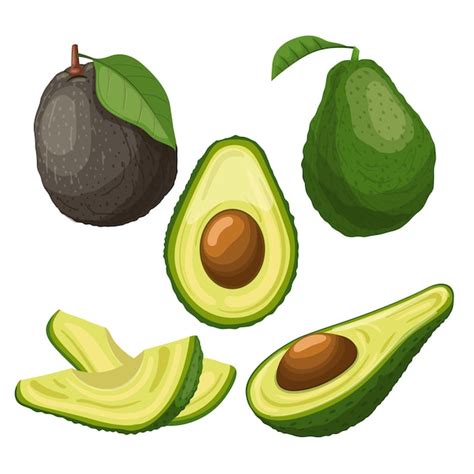 Ilustración de vector de dibujos animados conjunto fresco de comida de