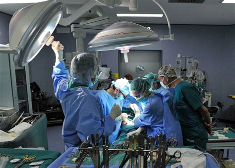 Trapiantato Per La Prima Volta Un Rene Di Maiale Su Un Essere Umano