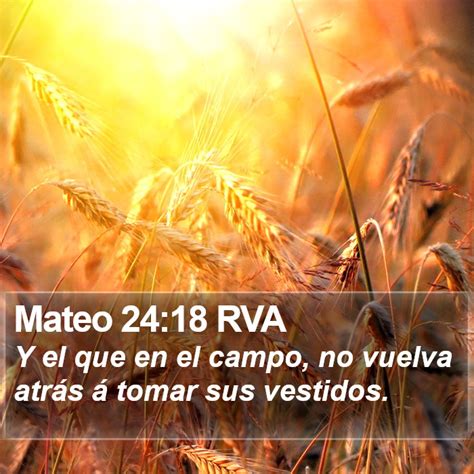 Mateo 24 18 RVA Y el que en el campo no vuelva atrás á tomar