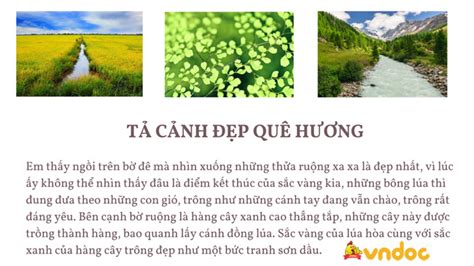 223 bài văn Tả cảnh đẹp quê hương em lớp 5 VnDoc