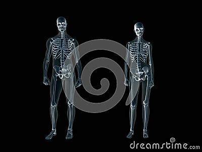 Xray X Ray Of The Human Body Man And Woman Royalty Free Stock Image