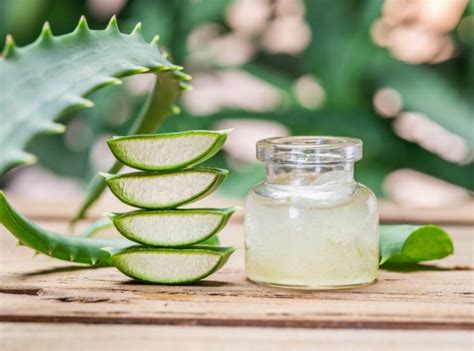 S Rum Facial Caseiro De Gel De Babosa Receitas Incr Veis Para Acabar