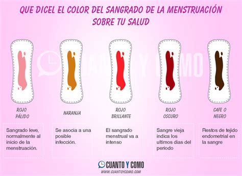 Cuanto Dura El Periodo Menstrual Duraci N Y Datos Importantes