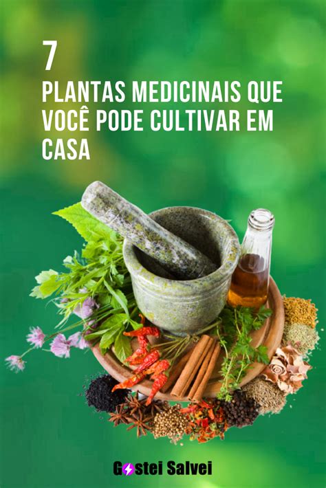 Plantas Medicinais Que Voc Pode Cultivar Em Casa Moda Aprovada