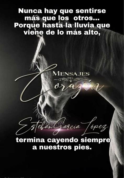Pin De Fernanda Zapata En Frases Frases Sabias Citas De Vida Frases