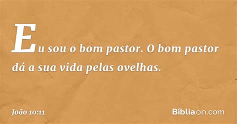 João 10 11 Bíblia