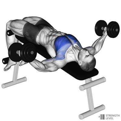 Decline Dumbbell Fly Standards For Men And Women Lb Strength Level