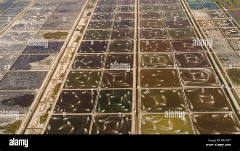 Shrimp Hatchery Fotograf As E Im Genes De Alta Resoluci N Alamy