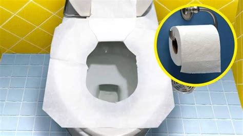 Estudo revela 3 motivos para VOCÊ NÃO FORRAR o assento do vaso