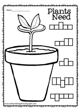 1st Grade Plants A Science Unit By We Heart Being First TPT