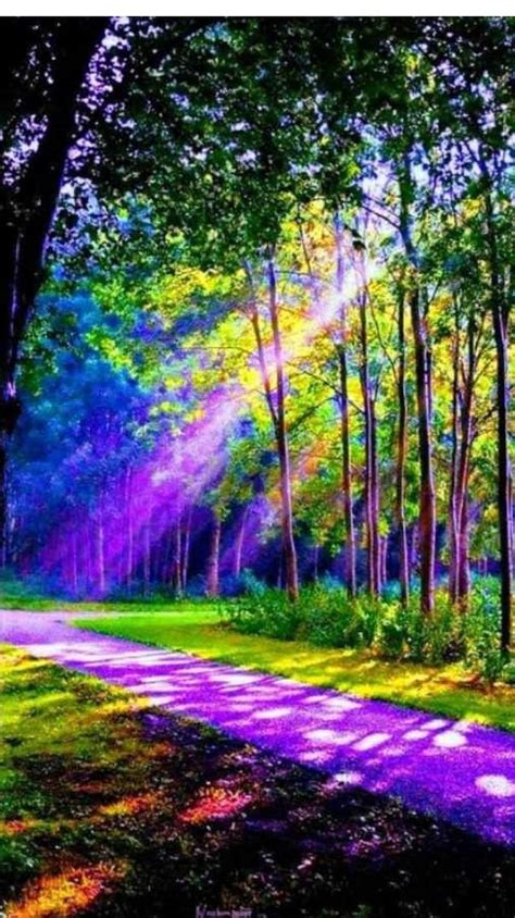 Free Nature Wallpaper Hd For Mobile K Infoupdate Org