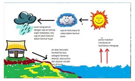 Daur Air Pengertian Proses Tahapan Gambar Siklusnya